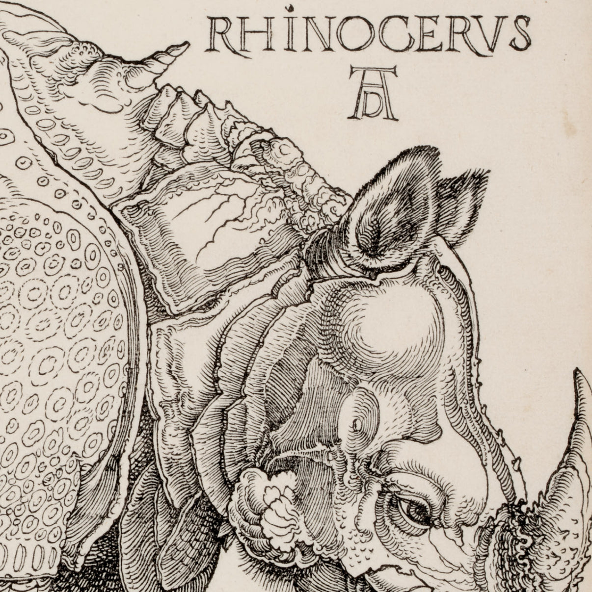 Albrecht Dürer 'The Rhinoceros' 1515 - Iconic Woodcut Wall Art Print ...